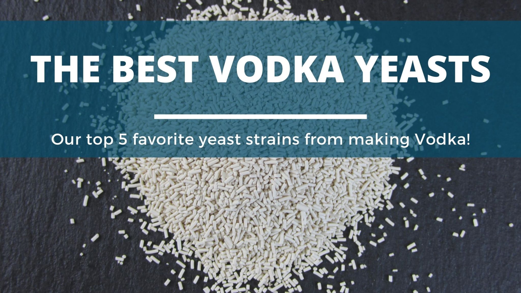 The Best Yeast For Distilling Vodka And Neutral Spirits? (Explained ...