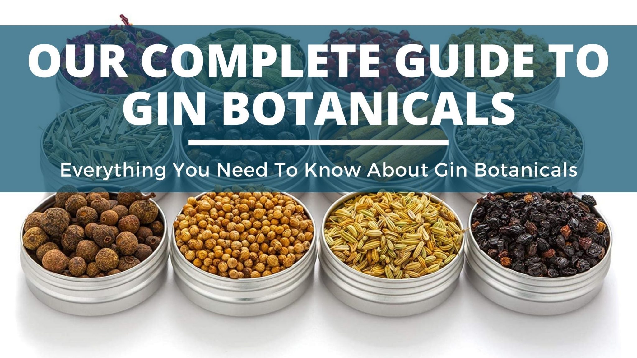 A Complete Guide to Gin Botanicals – DIY Distilling