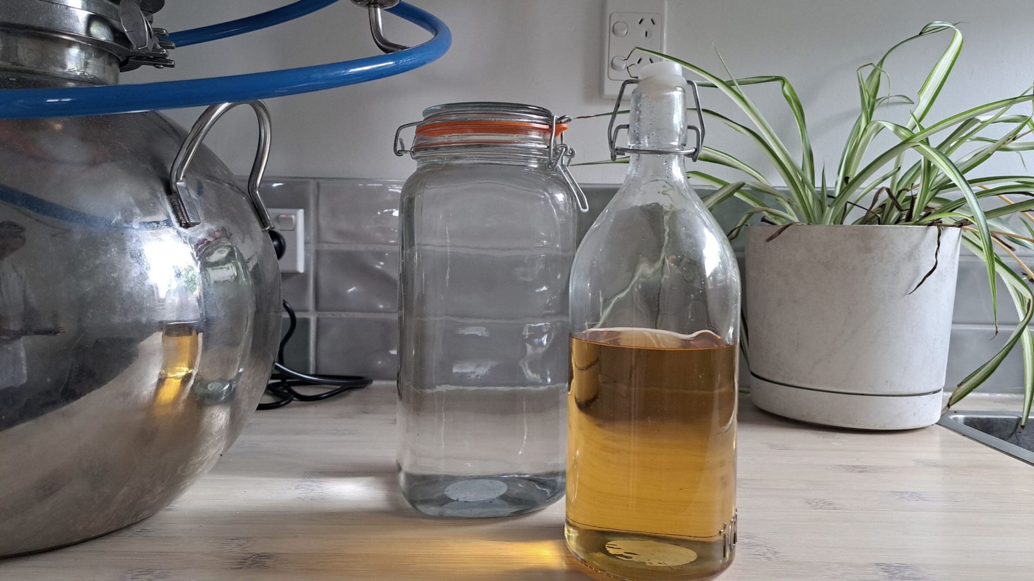 How To Make Brandy (A Step by Step Guide) - DIY Distilling