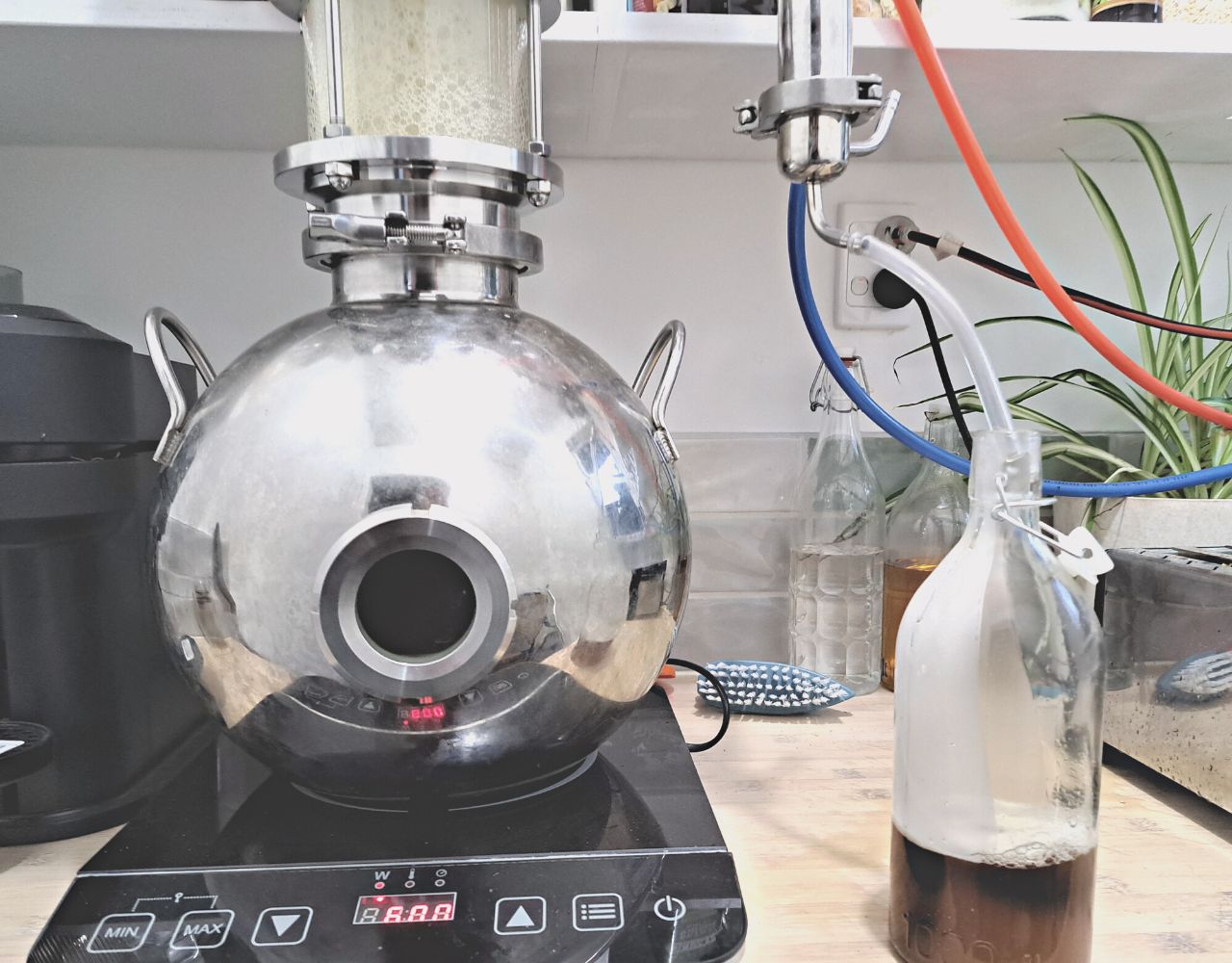 Can You Distill Beer? (Distiller Explains!) - DIY Distilling
