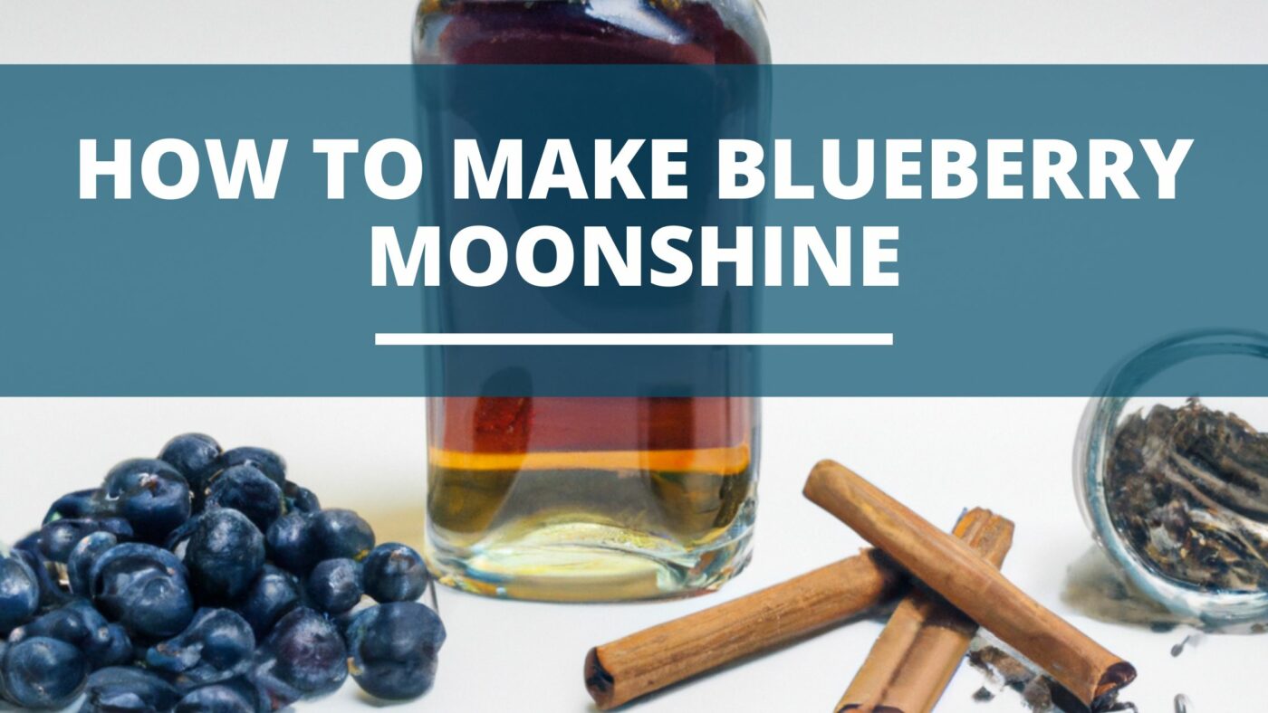 The Best Blueberry Moonshine Recipe (Try This) - DIY Distilling